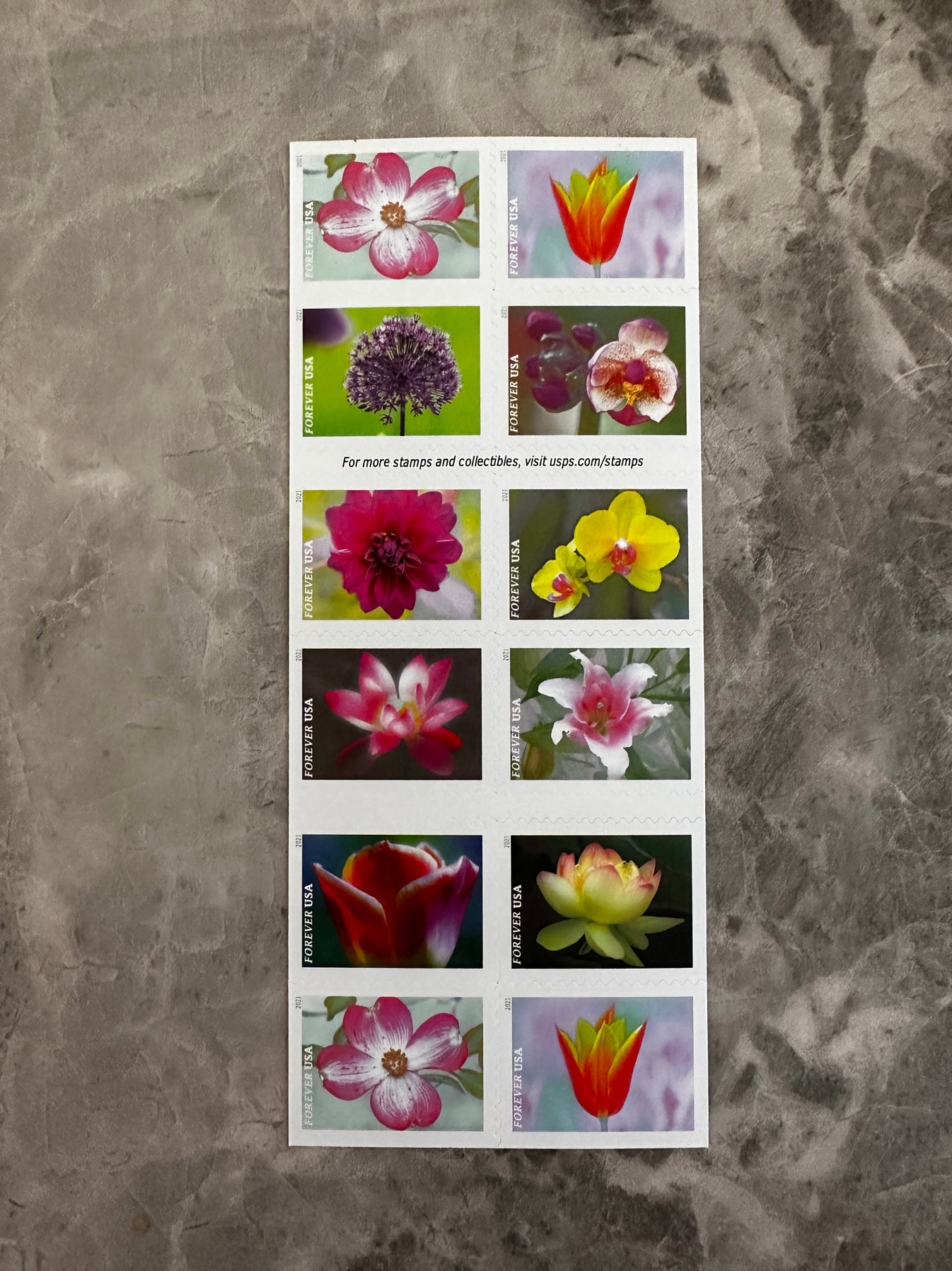 USPS Garden Beauty Forever Postage Stamps – The Cheap Stamps