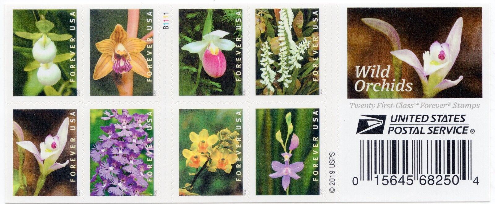 USPS Wild Orchids Forever Postage Stamps on Sale! – The Cheap Stamps